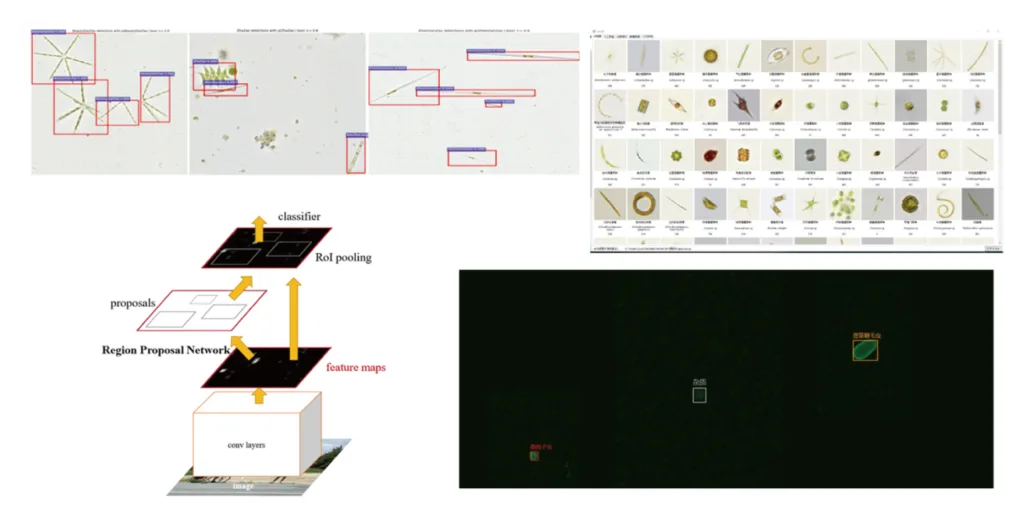 AI-Driven: Opening a New "Vision" for Water Quality Algae/Parasites ...
