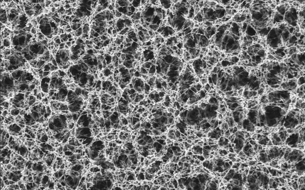 Filtailin® MCE 0.45μm Membrane: : Empowering Bio-pharmaceutical R&D and ...